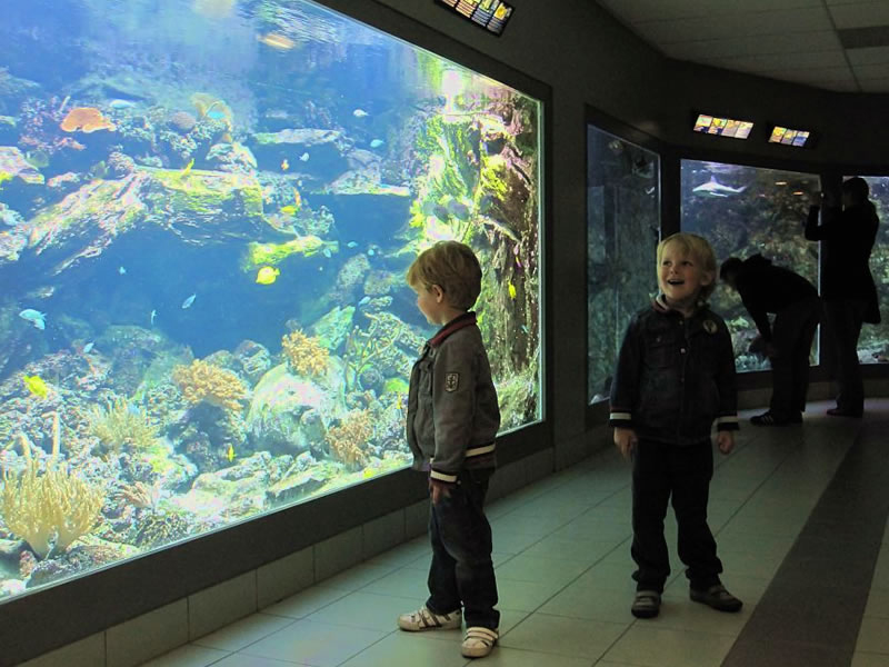 Huisje Schoorl - Vakantiehuisje Blij - Activiteiten